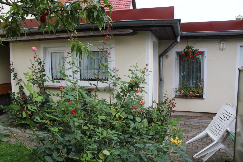 Bungalow Poggendorf, Eldena (aktualisierte Preise für 2025)