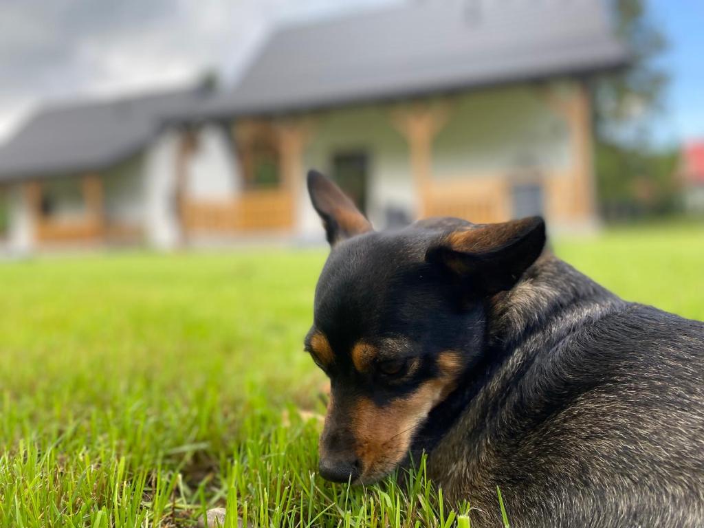 Kasi Polany, Krempna (updated prices 2025)