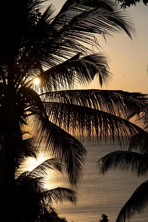 Kileleni, Kilindoni (updated prices 2025)