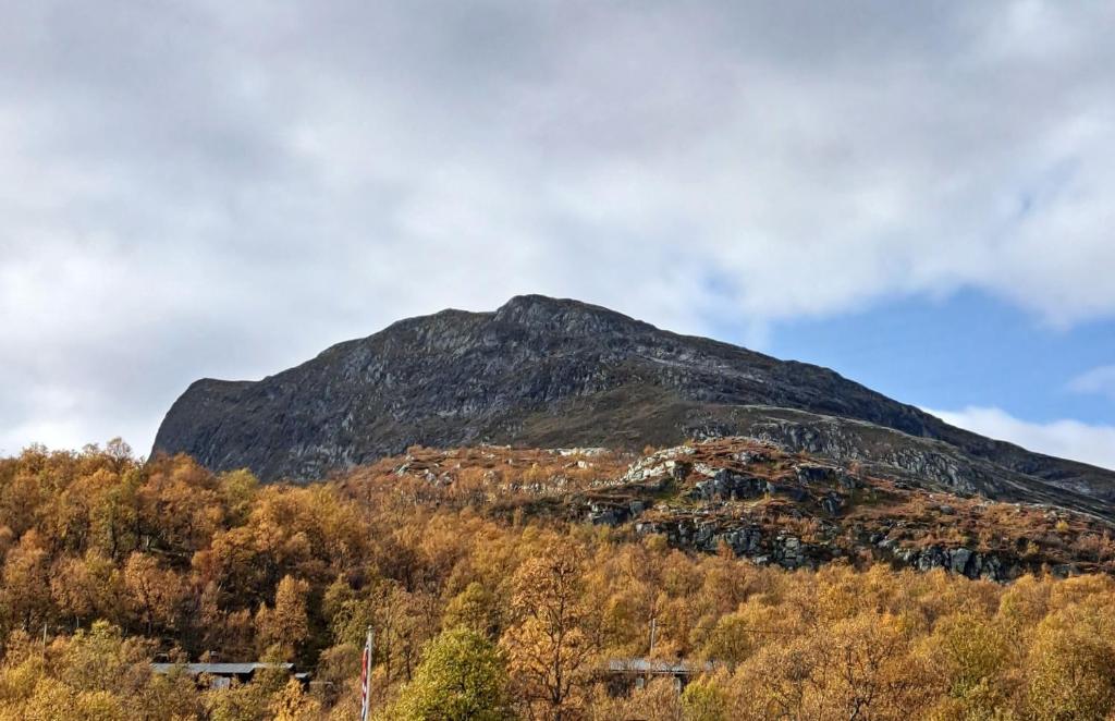 Tyinkrysset Fjellstue nr 3, Tyinkrysset (updated prices 2026)