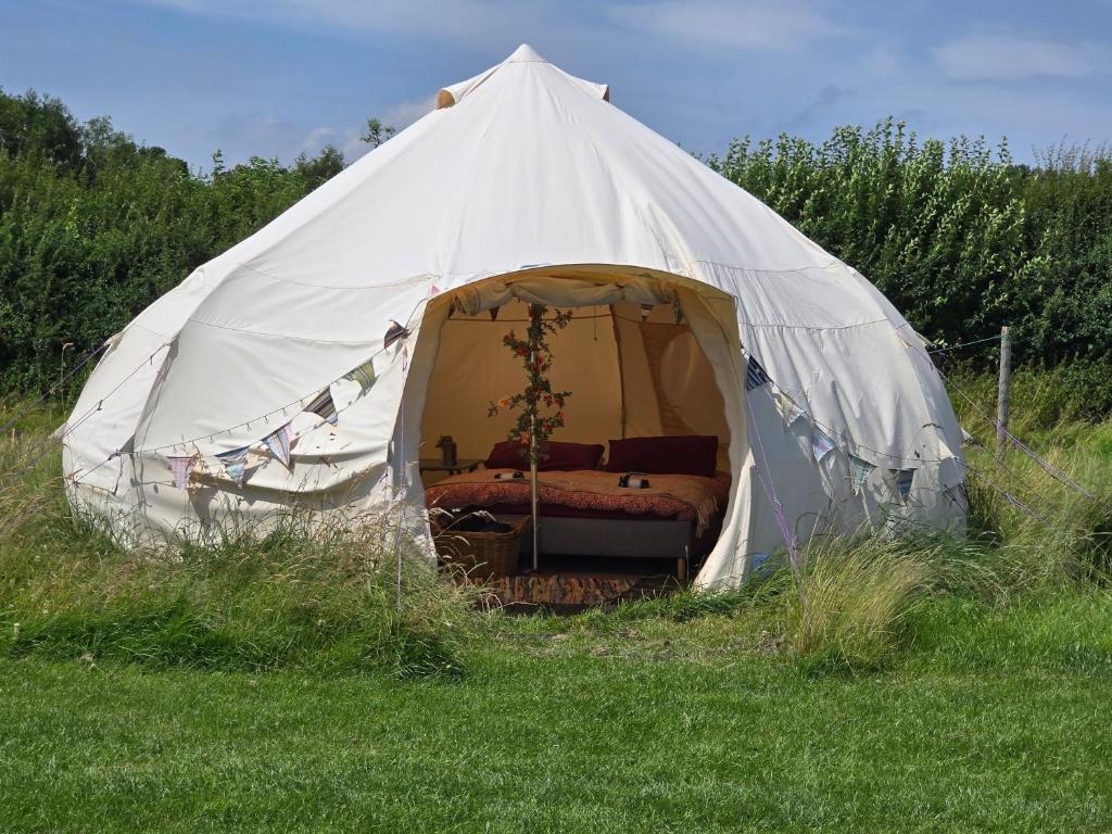 Freespirit Glamping, York (updated prices 2026)