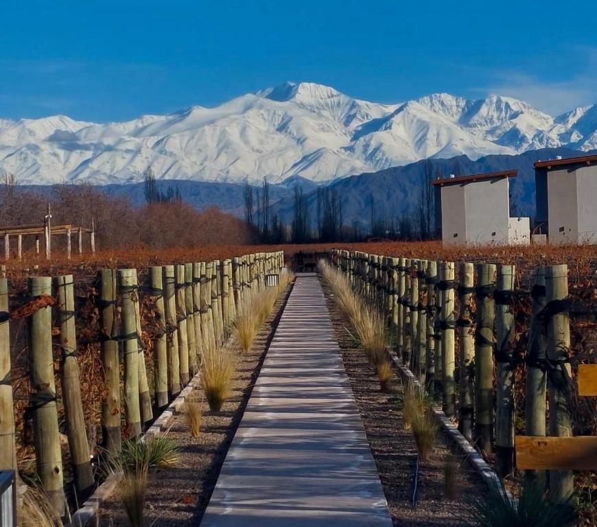 Agrelo Vines Lodge, Agrelo (updated prices 2024)