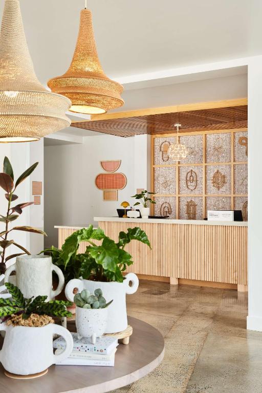 Avatar Hotel Santa Clara, Tapestry Collection by Hilton, Santa Clara ...