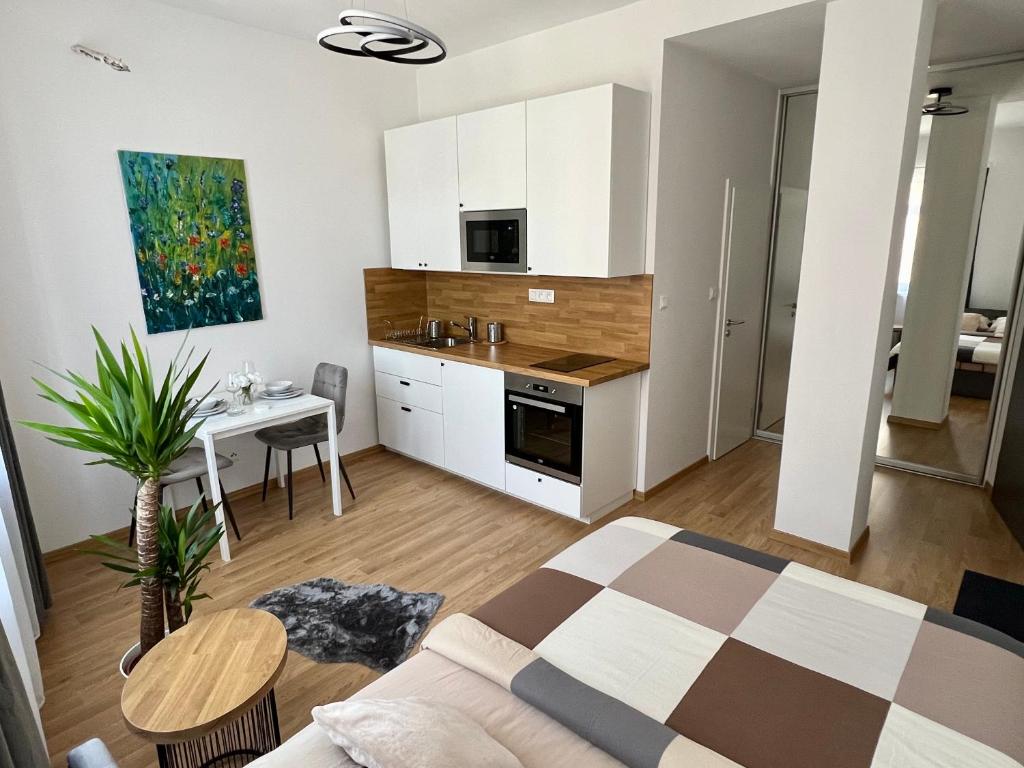 New cozy studio in Old Town, Bratislava (updated prices 2025)