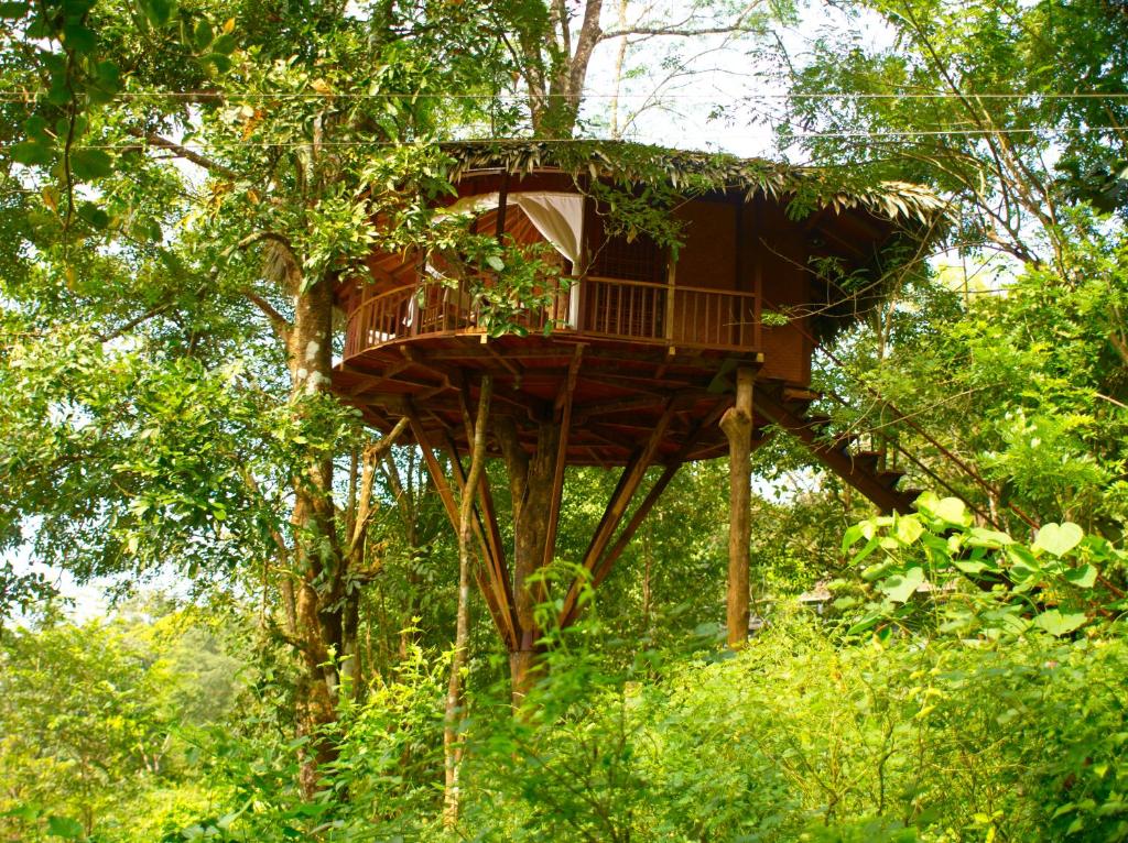 Rainforest Resort, Athirappilly (updated prices 2025)