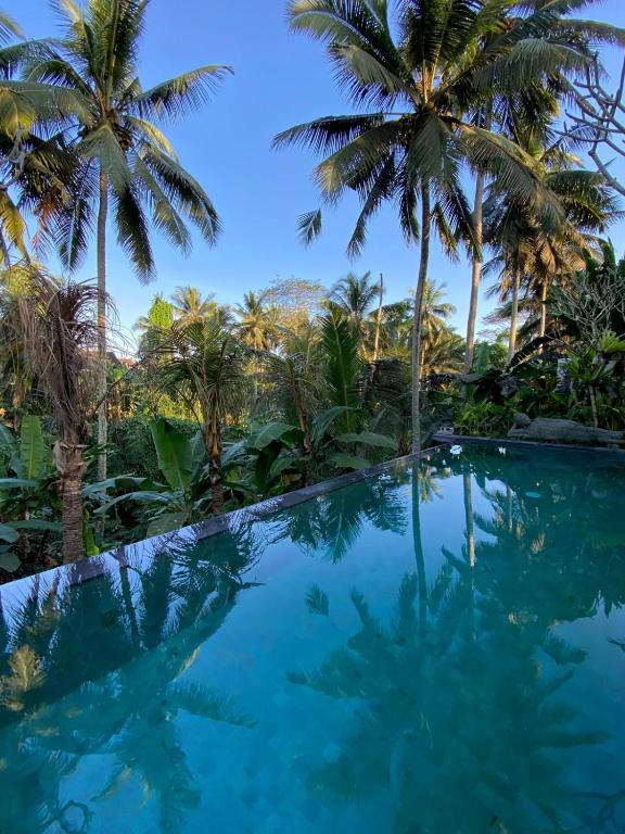 Graha Padi Villa, Ubud (updated prices 2025)