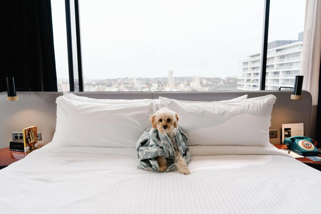 Hotel Indigo Sydney Potts Point by IHG, Sydney (updated prices 2025)