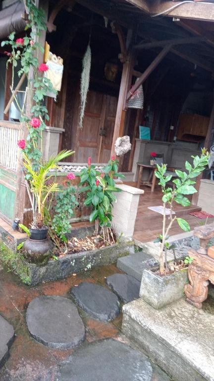 Villa joglo house nagi, Ubud (updated prices 2025)