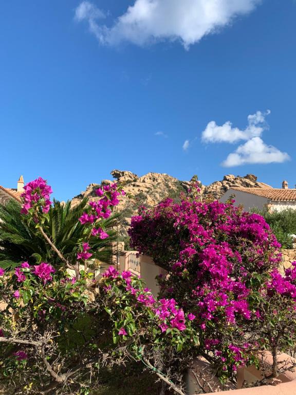 Villa Borgo Orso -Palau R3303, Proiettore (aktualisierte Preise für 2026)