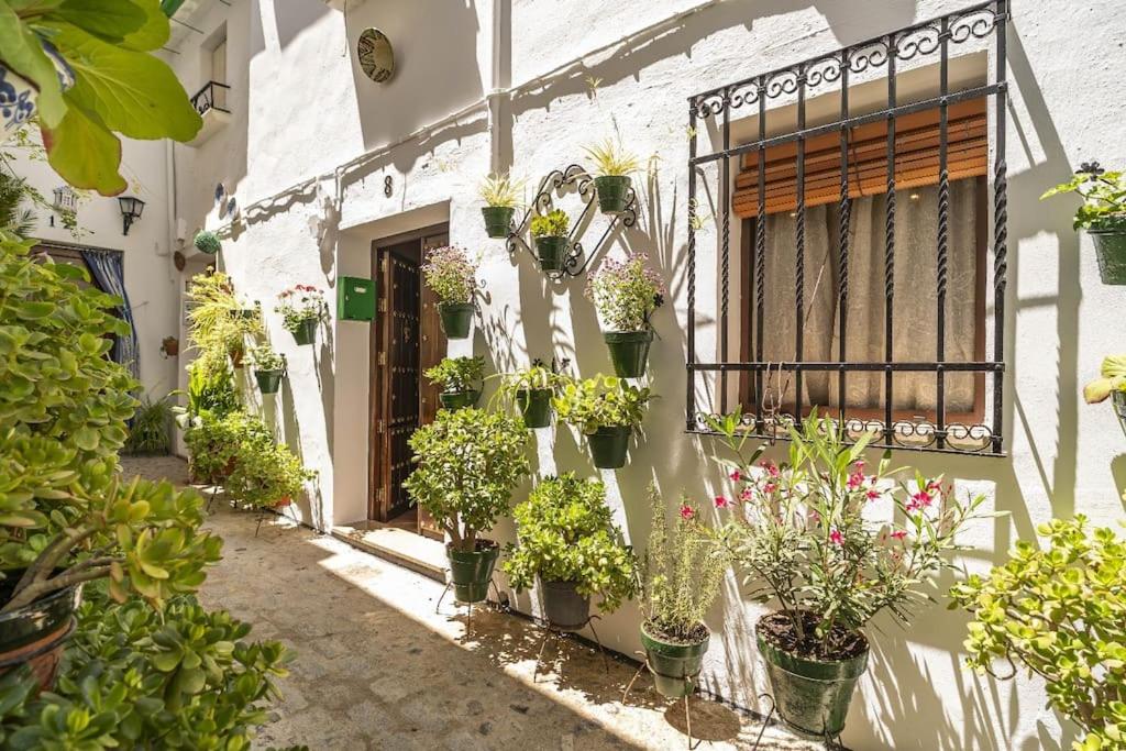 Casa con patio y terraza en Barrio histórico de la Villa, junto al ...