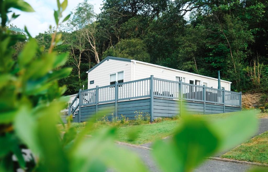 Foxglove Lodge, New Quay (updated prices 2026)