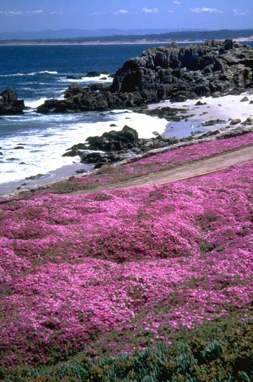 Spindrift Inn, Monterey (updated prices 2025)