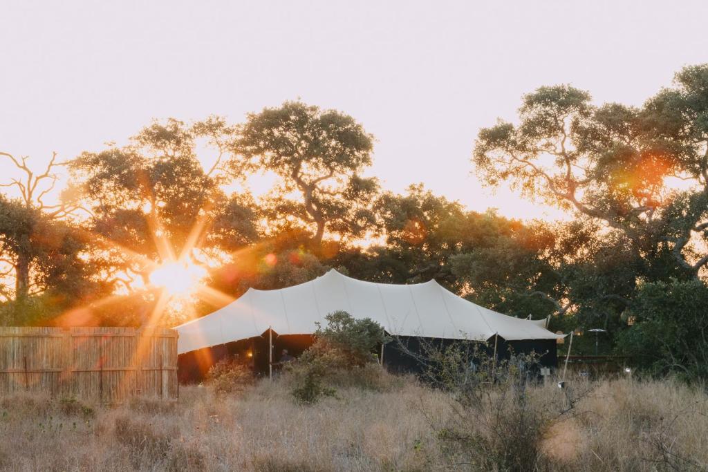 Kruger Untamed - Satara Plains Camp, Die Brug (updated prices 2026)