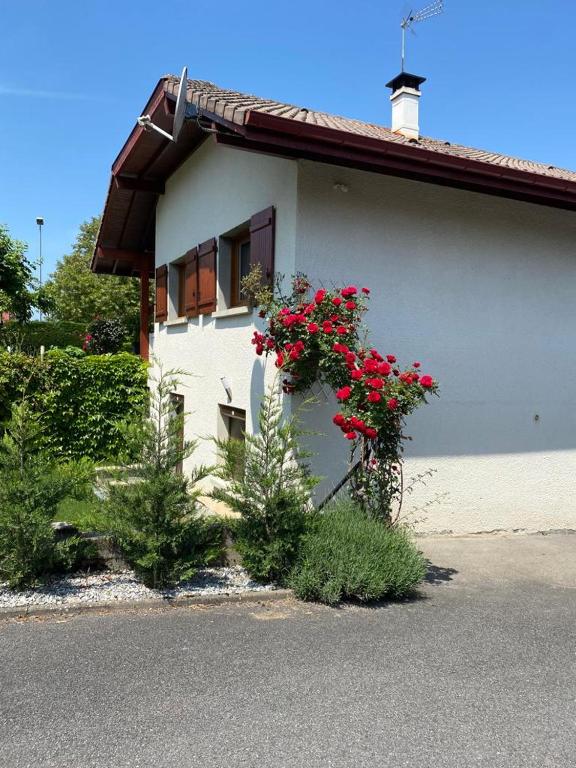 Chez Patrick et Dominique, Saint Pierre en Faucigny (updated prices 2025)