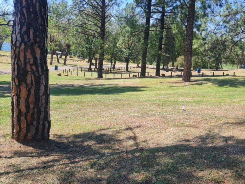 The View on Vaal Resort, Sasolburg (updated prices 2025)