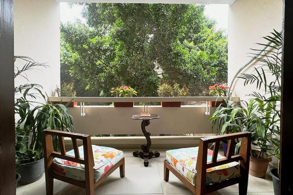 Tree house, Zamalek, Cairo (updated prices 2025)