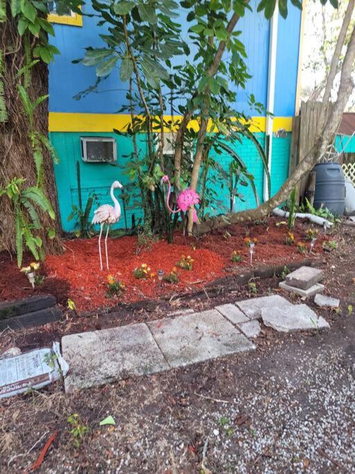 hunker bunker river front, New Port Richey (updated prices 2025)