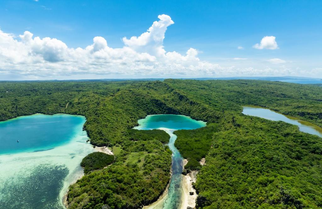 Bo'a Vida Rote, Nembrala (updated prices 2025)