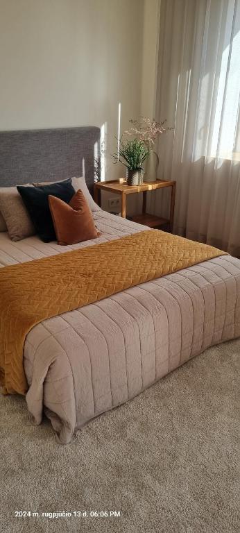 Kaukas, Kaunas (updated prices 2024)