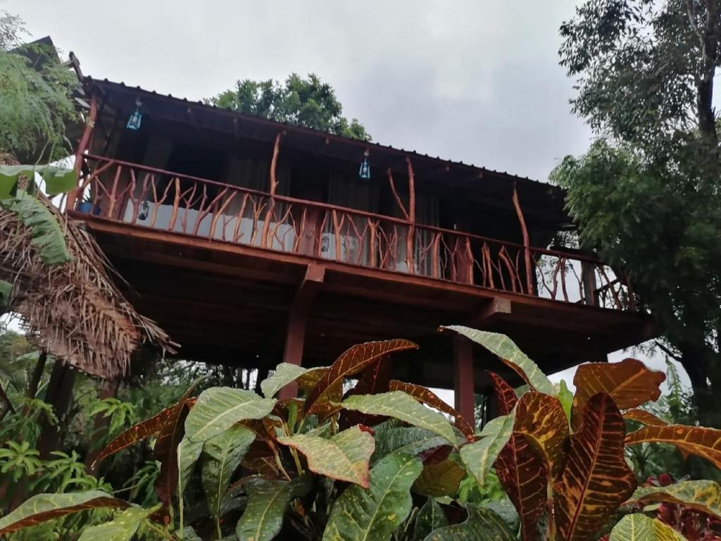 Sigiriya Rock View Tree house, Sigiriya (updated prices 2025)