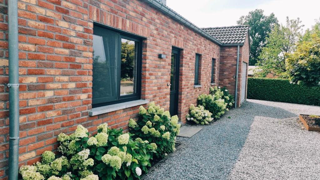 La vie Han Rose, Han-sur-Lesse (updated prices 2024)