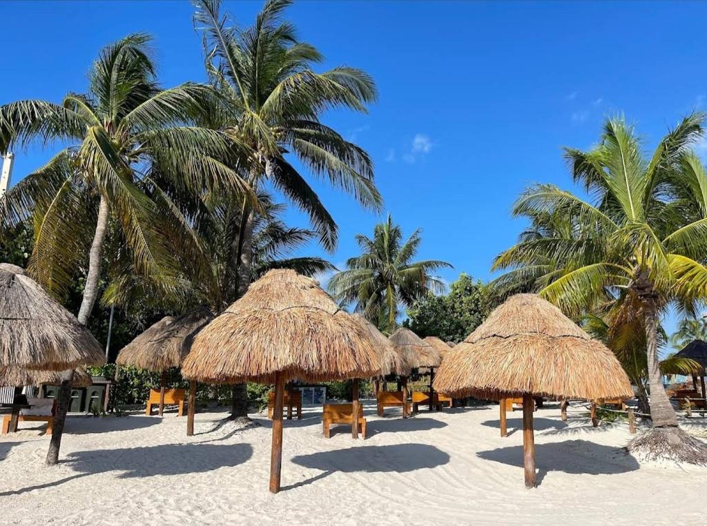 Arena room, Cancún (updated prices 2026)