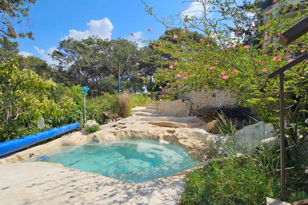 Countryside sea and beach view rustic home, HaBonim (updated prices 2025)