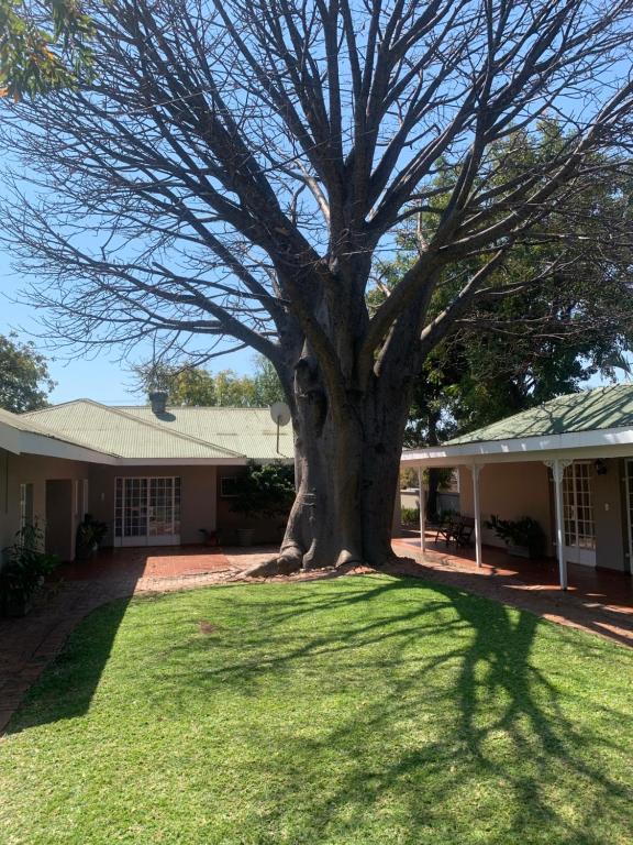 The Guest House, Musina (tarifs actualisés, 2025)