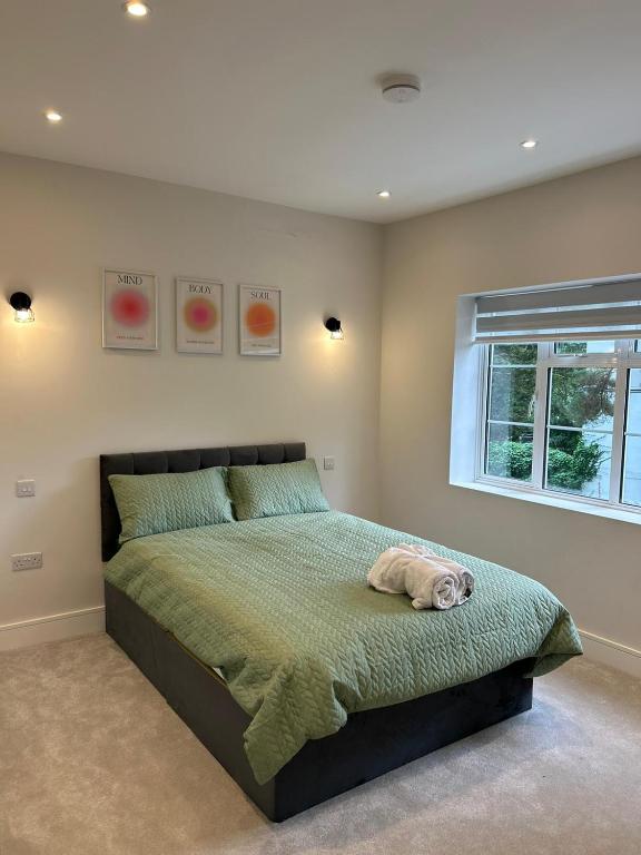 Exclusive London Apartment - Wembley Stadium, OVO Wembley Arena ...