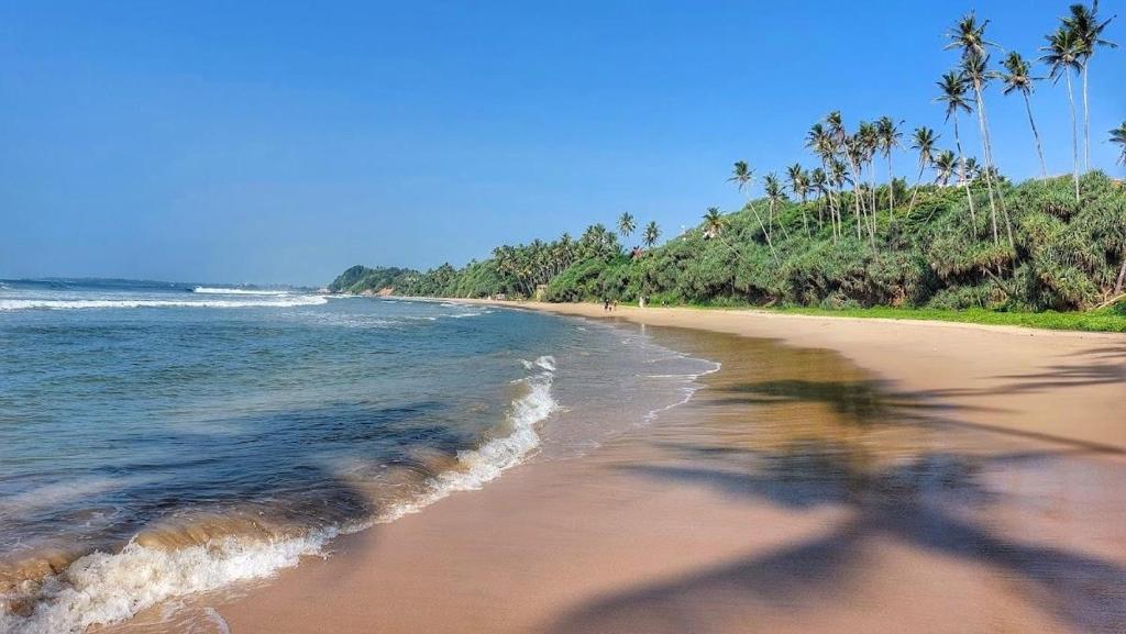 Lion Paradise Surf Beach, Matara (updated prices 2025)