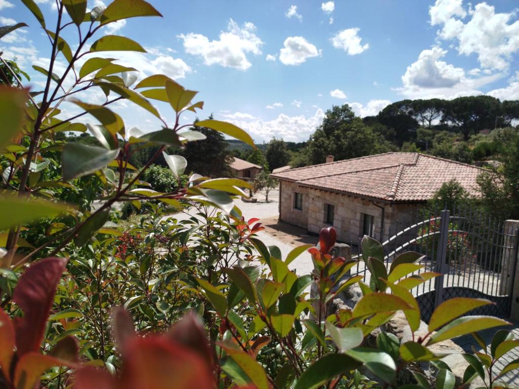 Quinta da Abadia, Mangualde (aktualisierte Preise für 2024)