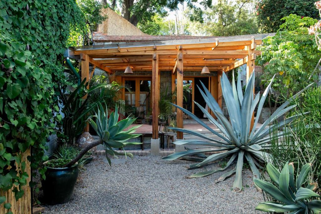 Oaxaca Centro Estudio Xochimilco, Oaxaca de Juárez (aktualisierte Preise für 2026)