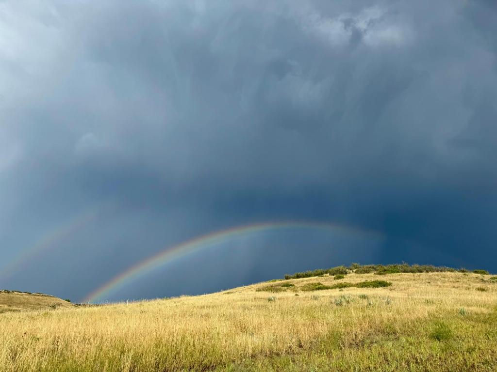 Pansy’s Parlor Bed & Breakfast, Golden (updated prices 2025)