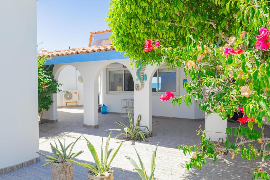 Casa de Evilina, Puerto Peñasco (updated prices 2026)