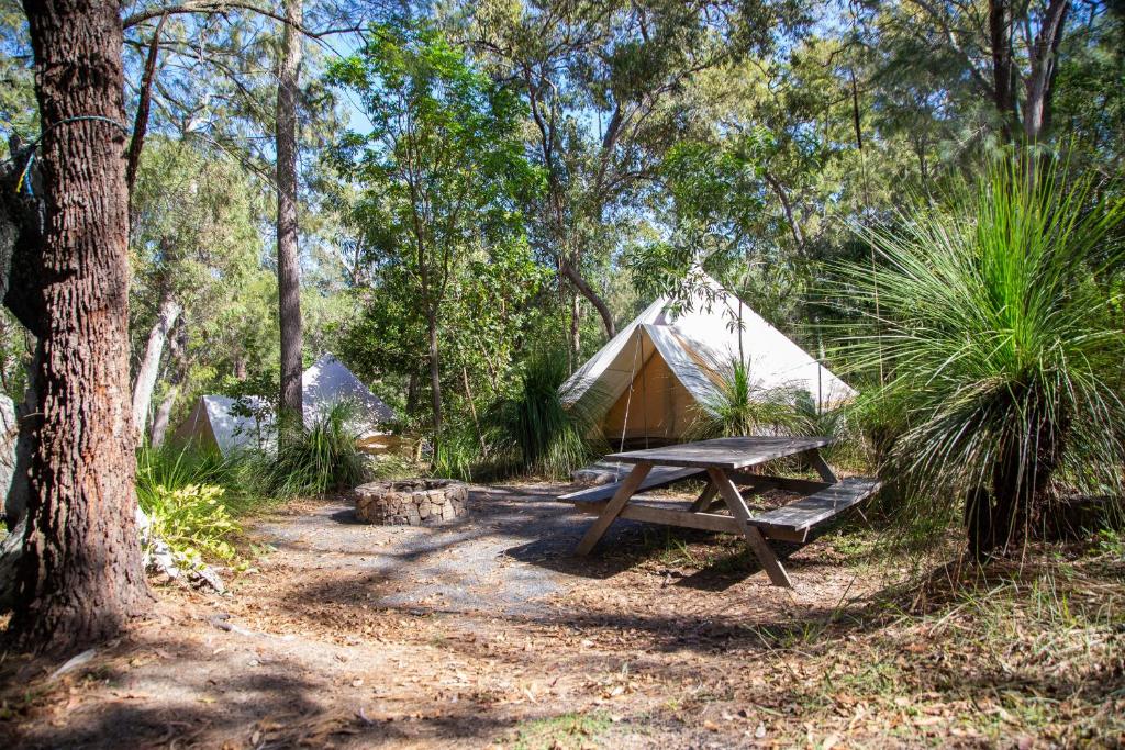 1770 Eco Camp, Agnes Water (updated prices 2024)