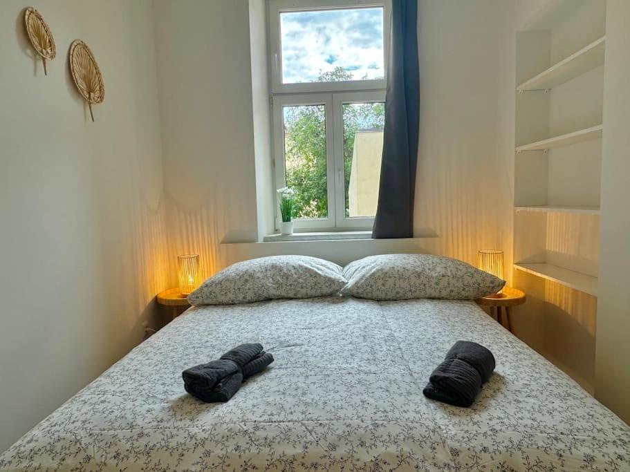 Stylish & Renovated Cosy Studio, Vienna (updated prices 2024)