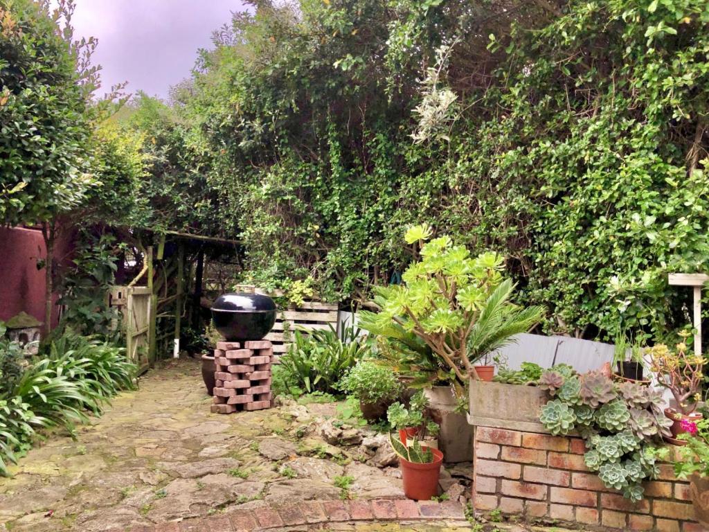 Ouma se Bokkemeth, Boknes (updated prices 2025)