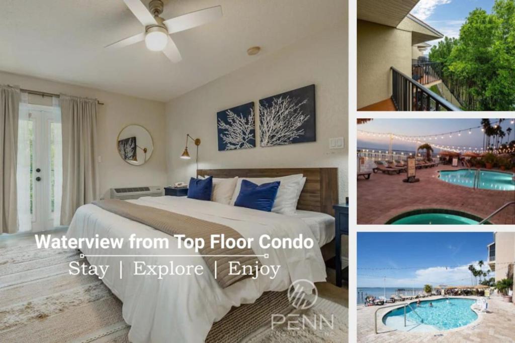 Waterview from Top Floor Condo, Dunedin (updated prices 2026)