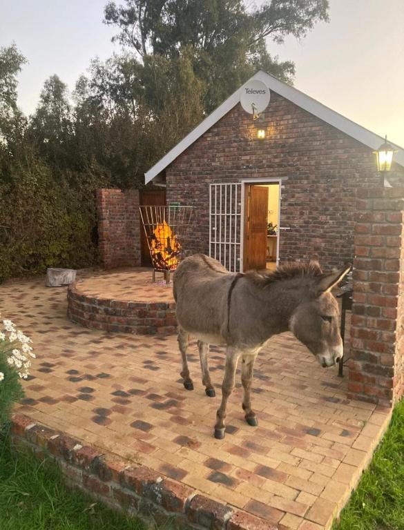 Rivier-Plesier Cottage at Riggton River Farm, Bonnievale (updated ...