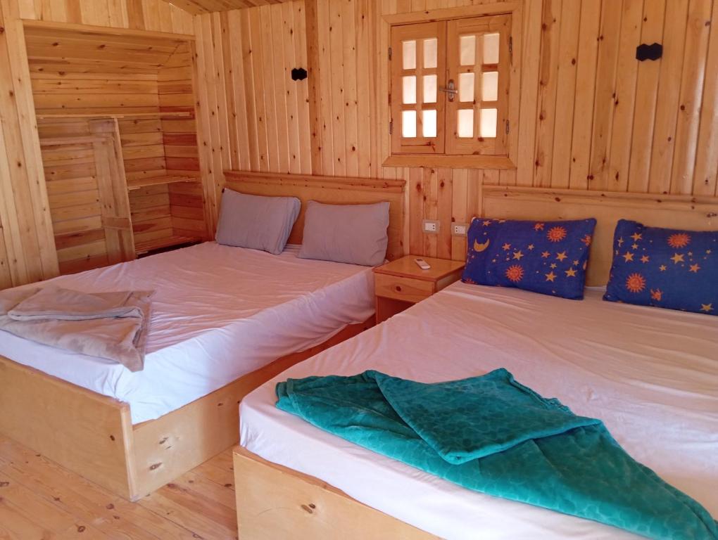 Sayal camp new, Taba (updated prices 2025)