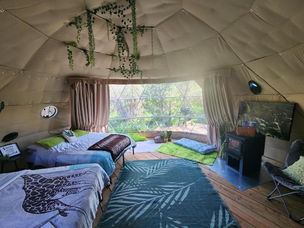 D3 Rainforest Getaway Dome- 2Dbl beds, Drumheller (updated prices 2025)