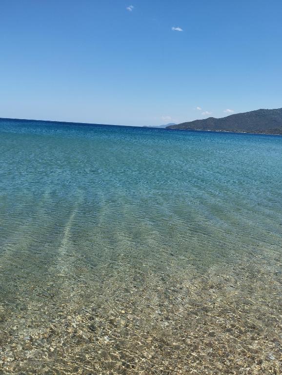 Blue mare, Nea Vrasna (updated prices 2026)