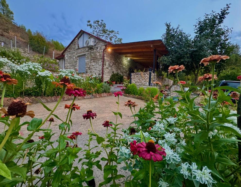 Stone House, Këlcyrë (updated prices 2025)