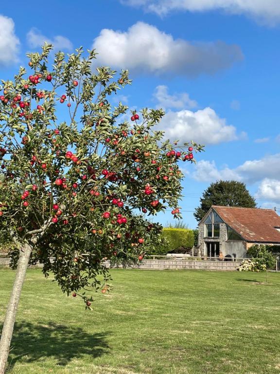 The Hayloft at Stathe Farm, Bridgwater (updated prices 2026)