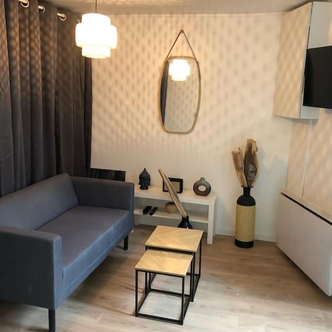 Gîte Cosy - 41m2 - Hyper Centre - Climatisation, Langeac (updated ...