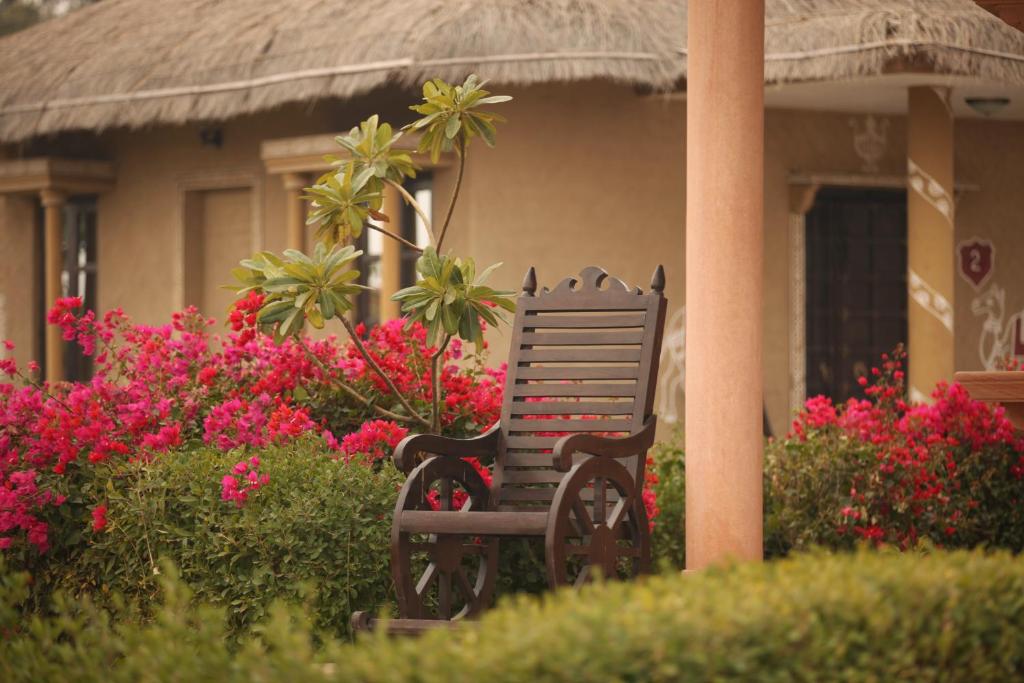 Thar Oasis Resort and Camp, Dechu (updated prices 2025)