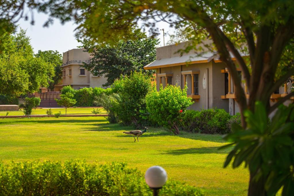 Thar Oasis Resort and Camp, Dechu (updated prices 2025)