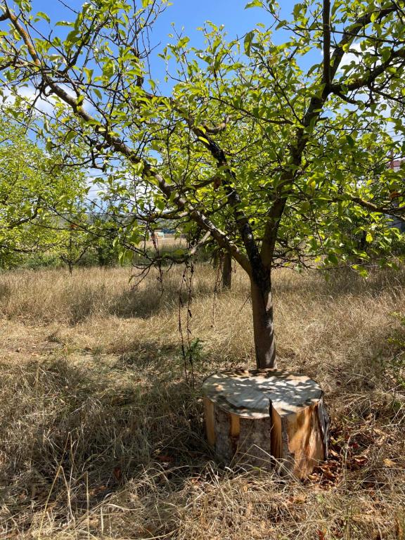 Border Camping for RV's, Bilisht (aktualisierte Preise für 2025)