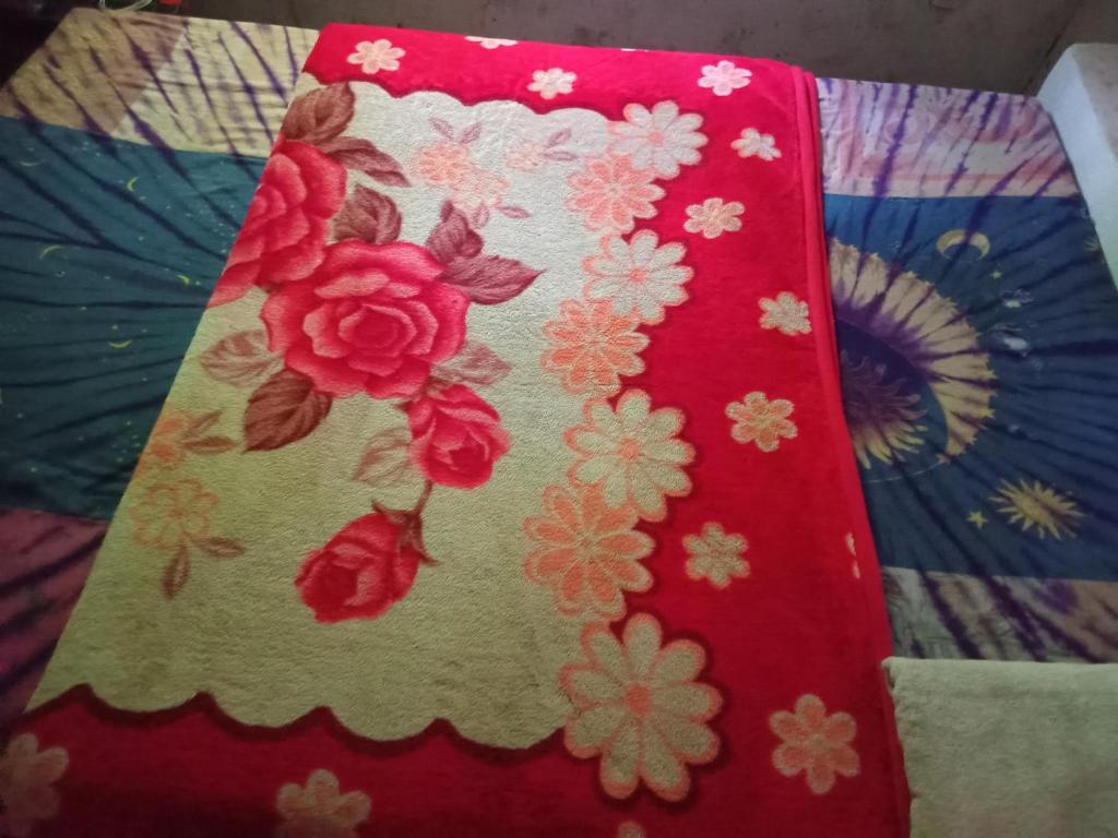 Chez MOMO, Diana (updated prices 2024)