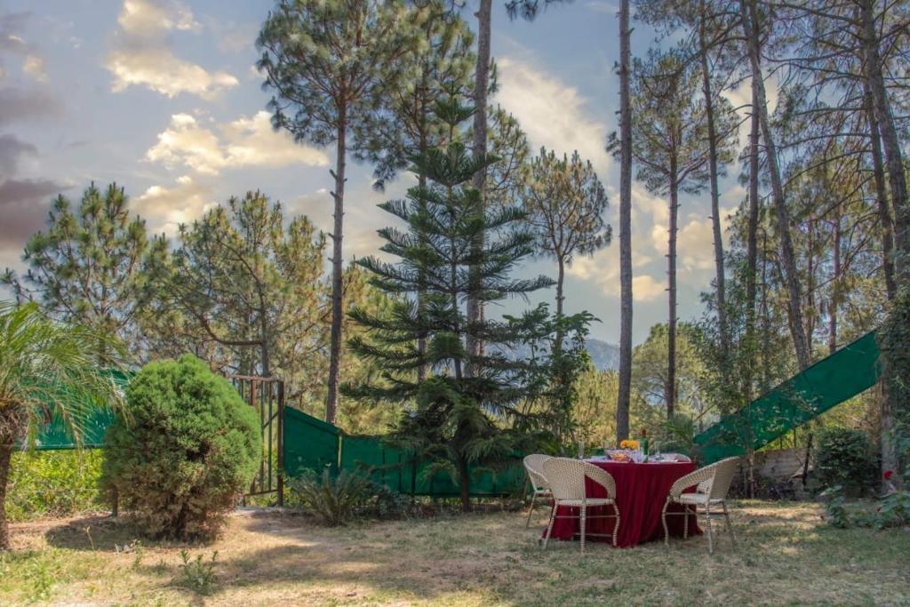 4BR cozy villa kasauli garden bone fire open terrace jhula by the north ...